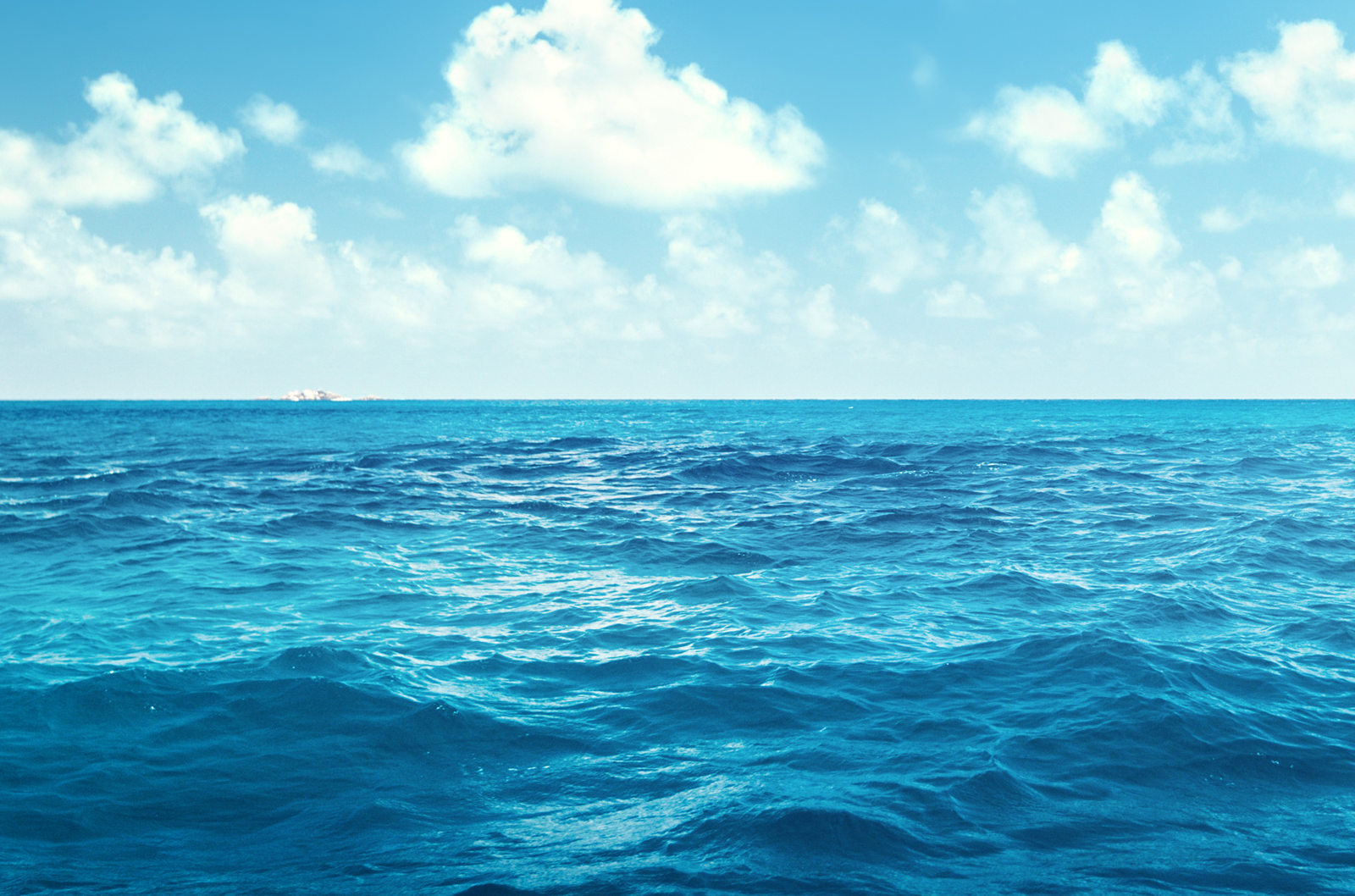 AUTM | The Nonprofit Leader in Technology Transfer