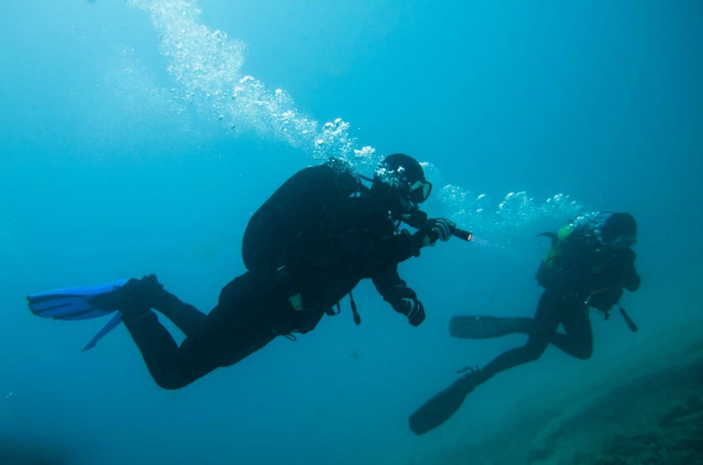 The Importance of Technology Transfer | Better World