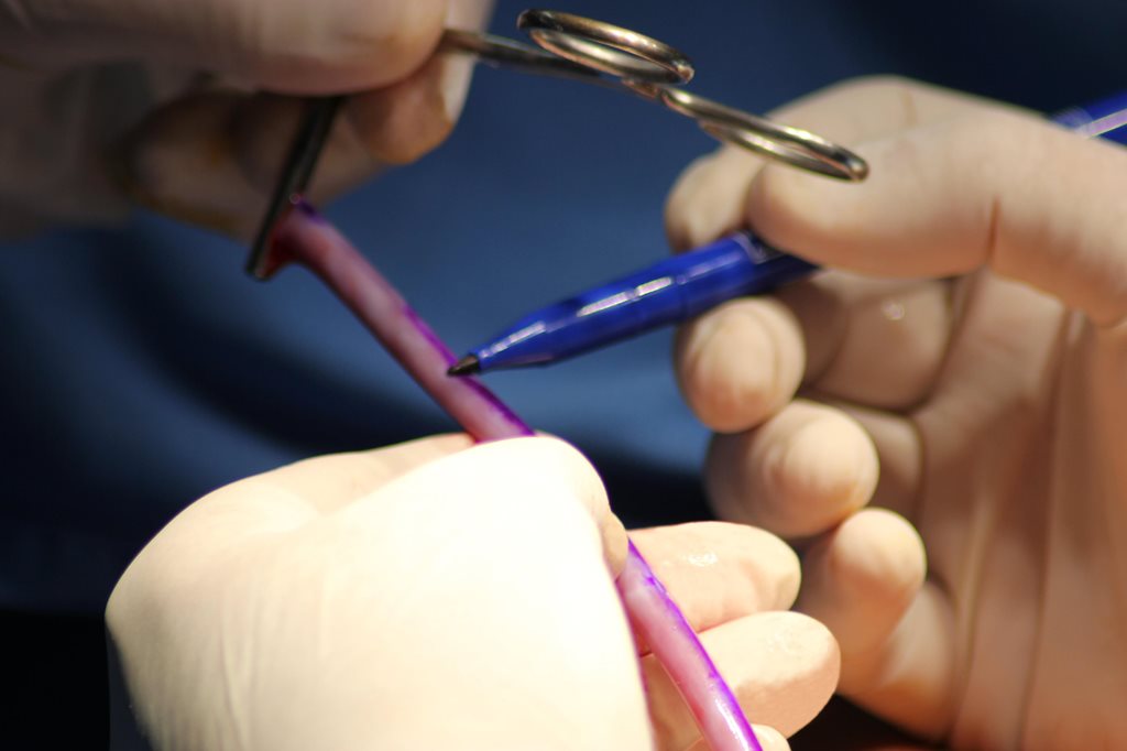 The Importance of Technology Transfer | Better World